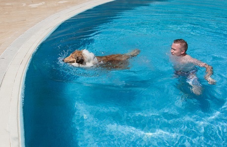 How to Teach Your Dog to Swim in a Pool: 5 Easy Steps
