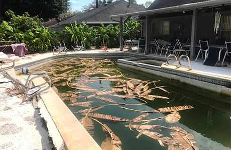 Swimming Pool Storm/Hurricane Cleanup: 5 Mistakes to Avoid