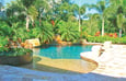 Tropical Swimming Pools: 12 Best Design Ideas with Pictures