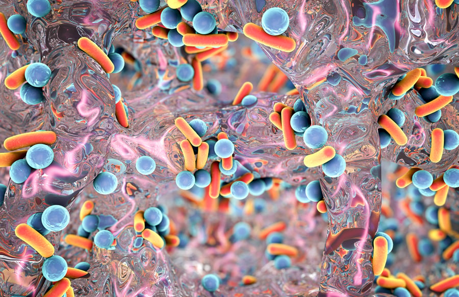 What is Biofilm—and Why it Matters to Your Swimming Pool or Hot Tub